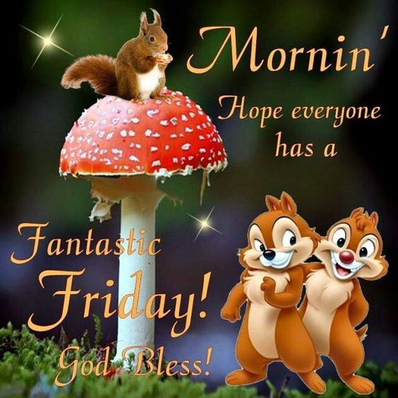 Morning Hope Everyone Has A Beautiful Friday Pictures, Photos, and ...