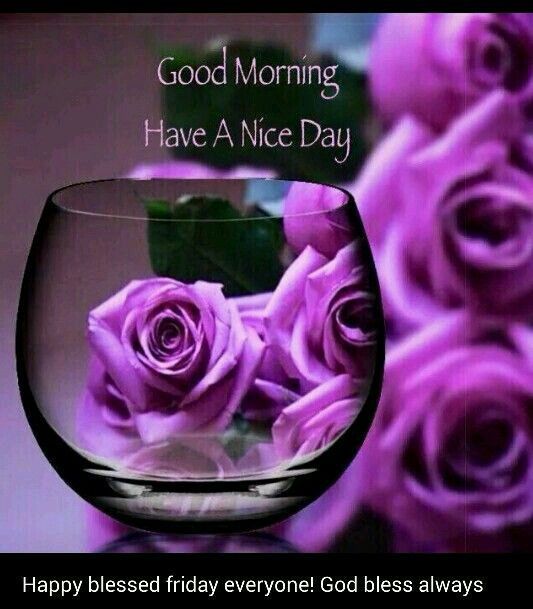 Good Morning Have A Nice Friday Pictures, Photos, and Images for ...