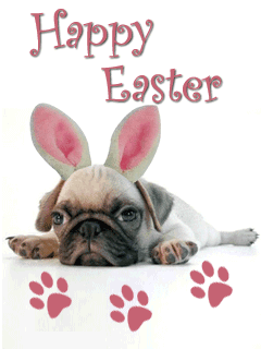 Happy Easter Pug Pictures, Photos, and Images for Facebook, Tumblr ...