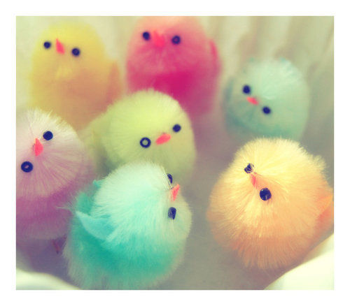 Easter Chicks Pictures, Photos, and Images for Facebook, Tumblr ...