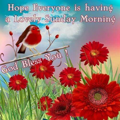 Hope Everyone Is Having A Lovely Sunday Morning Pictures, Photos, and ...