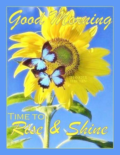 Good Morning Time To Rise & Shine Pictures, Photos, and Images for ...