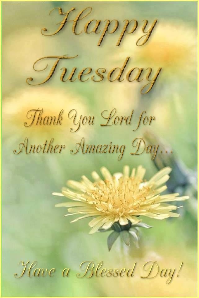 Happy Tuesday, Thank You Lord For Another Amazing Day Pictures, Photos ...