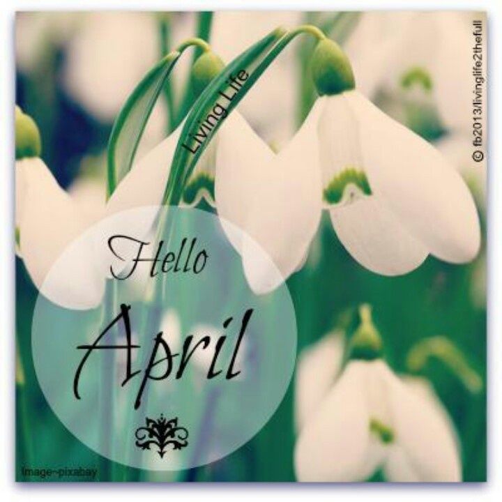 Hello April Pictures, Photos, and Images for Facebook, Tumblr ...
