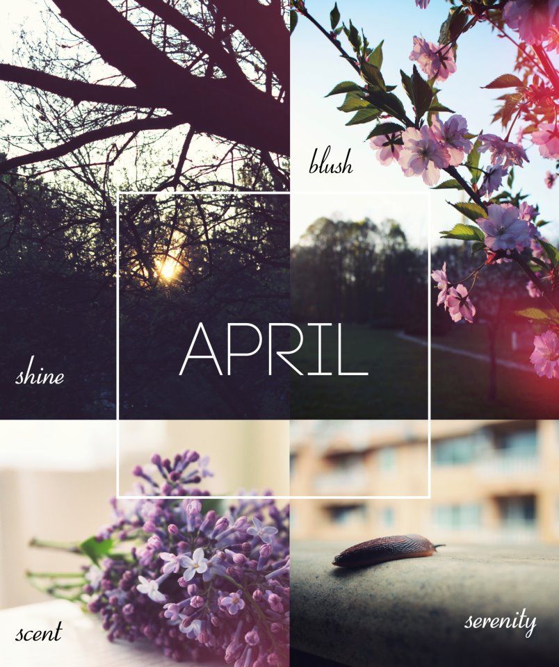 April Pictures, Photos, and Images for Facebook, Tumblr, Pinterest, and ...