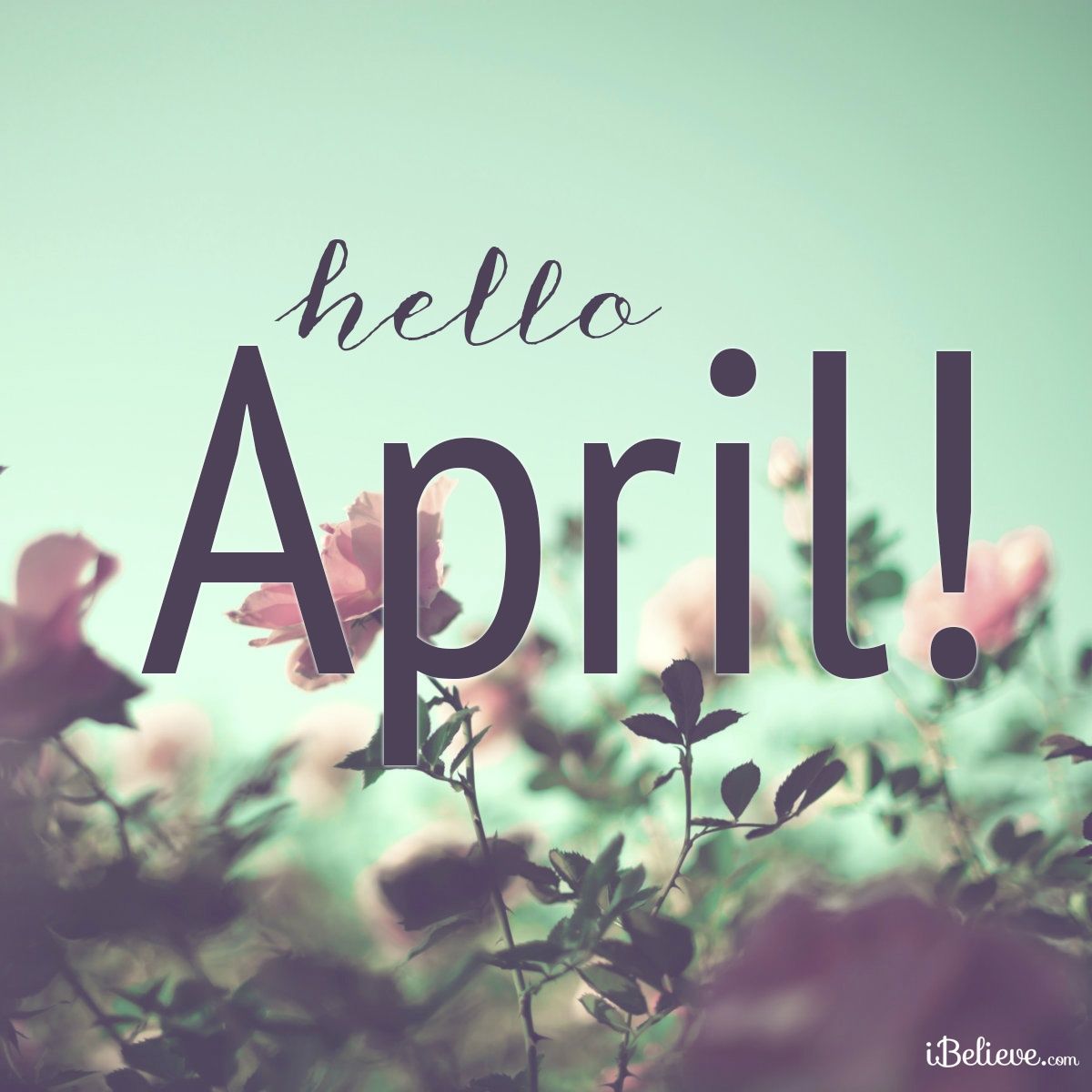 Hello April Pictures, Photos, and Images for Facebook, Tumblr ...