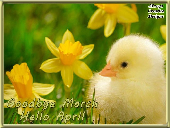 Goodbye March, Hello April Pictures, Photos, and Images for Facebook ...