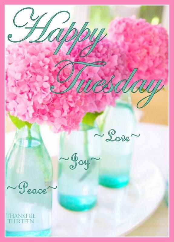 Happy Tuesday Pictures, Photos, and Images for Facebook, Tumblr ...