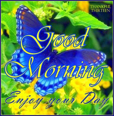 Good Morning Enjoy Your Day Spring Quote Pictures, Photos, and Images ...