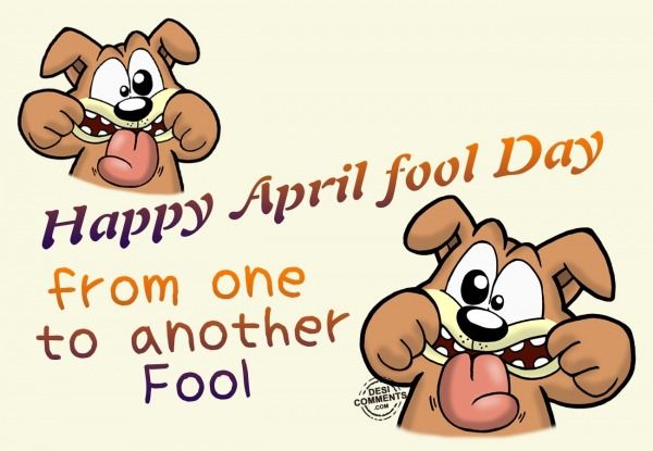 Happy April Fool Day From One To Another Fool Pictures, Photos, and ...