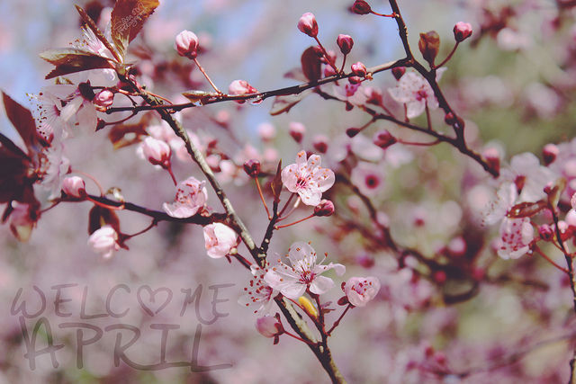 Welcome April Pictures, Photos, and Images for Facebook, Tumblr ...