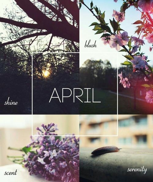 April Pictures, Photos, and Images for Facebook, Tumblr, Pinterest, and ...