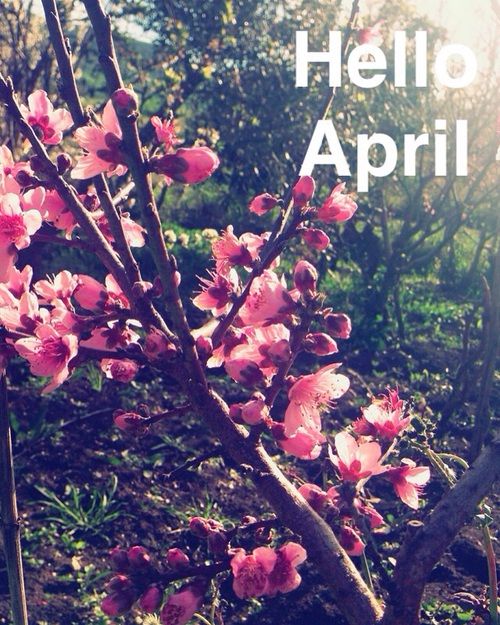 Hello April Pictures, Photos, and Images for Facebook, Tumblr ...