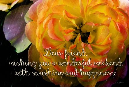Dear Friend, Wishing You A Wonderful Weekend Pictures, Photos, and ...