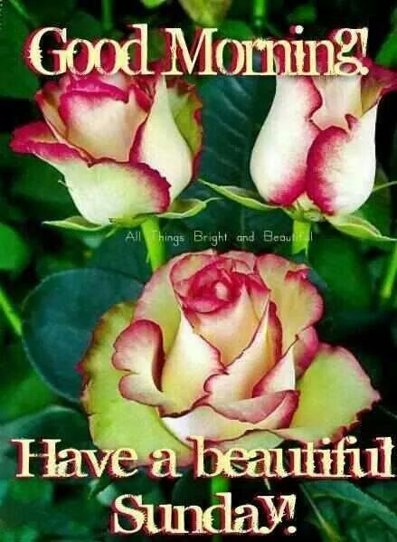 Good Morning And Have A Beautiful Sunday Pictures, Photos, and Images ...