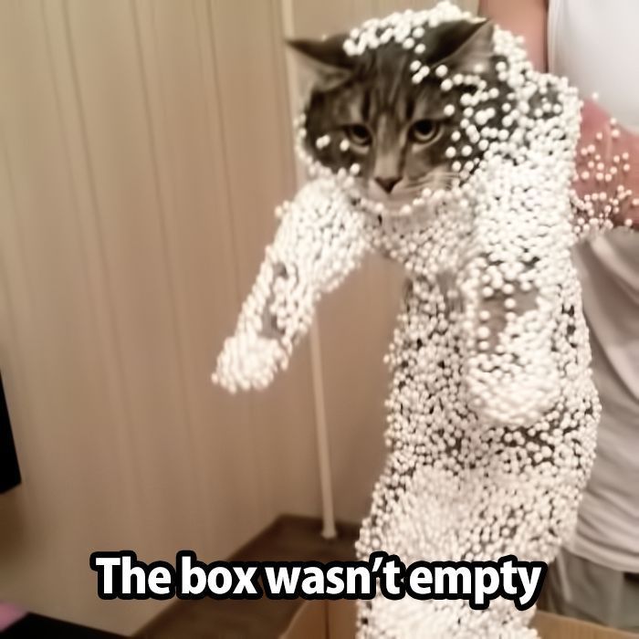 The Box Wasn't Empty Pictures, Photos, and Images for Facebook, Tumblr ...