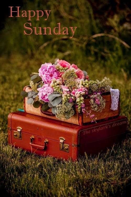 Happy Sunday Pictures, Photos, and Images for Facebook, Tumblr ...