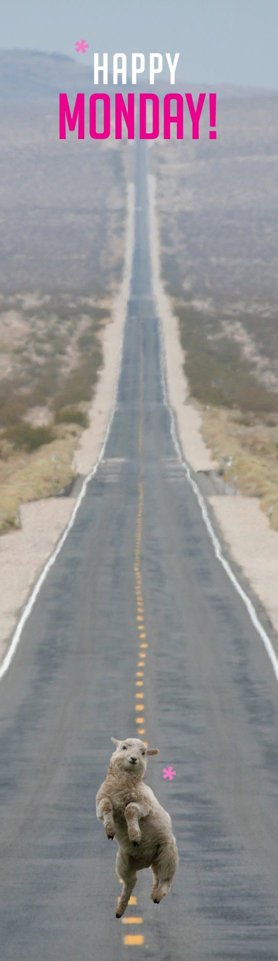 Happy Monday Pictures, Photos, and Images for Facebook, Tumblr ...