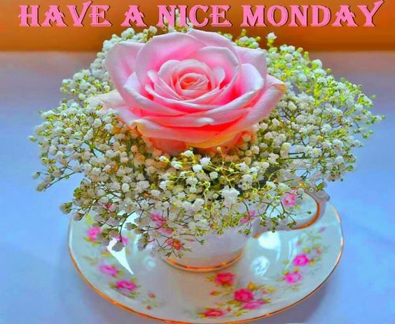 Have A Nice Monday Pictures, Photos, and Images for Facebook, Tumblr ...