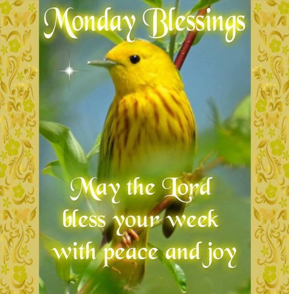 Monday Blessings, May The Lord Bless Your Week With Peace And Joy ...