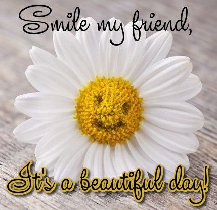 Smile My Friend, It's A Beautiful Day! Pictures, Photos, and Images for ...