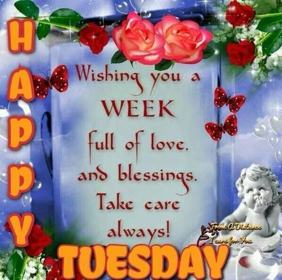 Happy Tuesday, Wishing You A Week Full Of Love And Blessings, Take Care ...