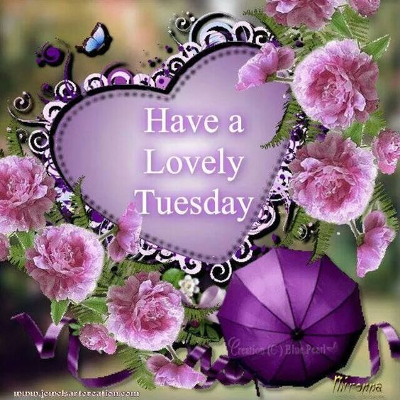 Have A Lovely Tuesday Pictures, Photos, and Images for Facebook, Tumblr ...