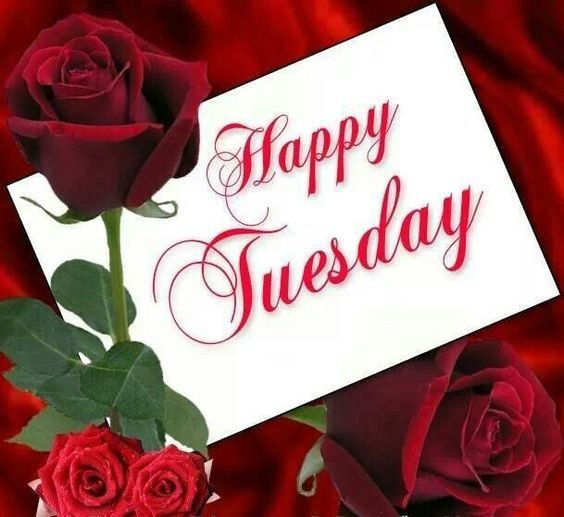 Happy Tuesday Pictures, Photos, and Images for Facebook, Tumblr ...