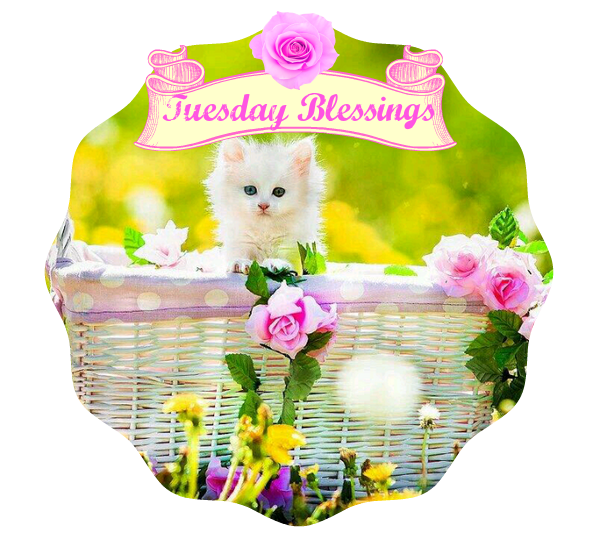 Tuesday Blessings Pictures, Photos, and Images for Facebook, Tumblr ...