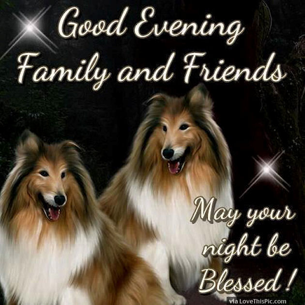 Good Evening Family And Friends May Your Night Be Blessed Pictures ...