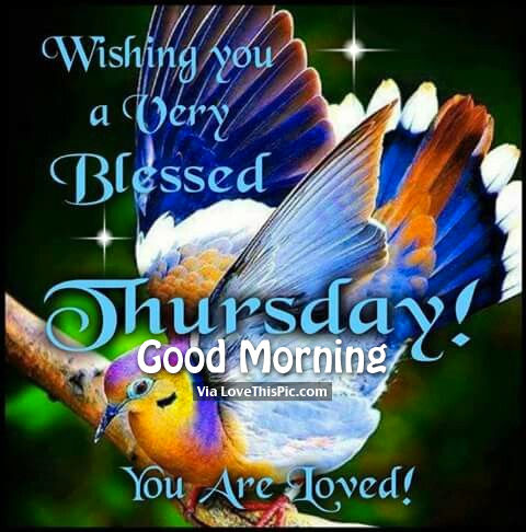 Wishing You A Very Blessed Thursday, Good Morning Pictures, Photos, and ...