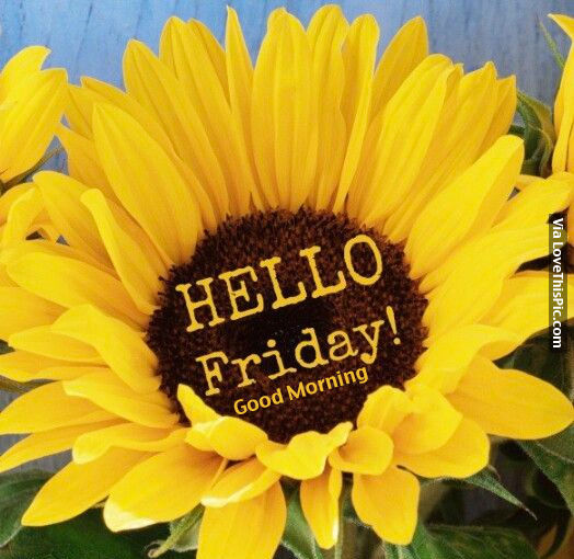 Hello Friday, Good Morning Pictures, Photos, and Images for Facebook ...