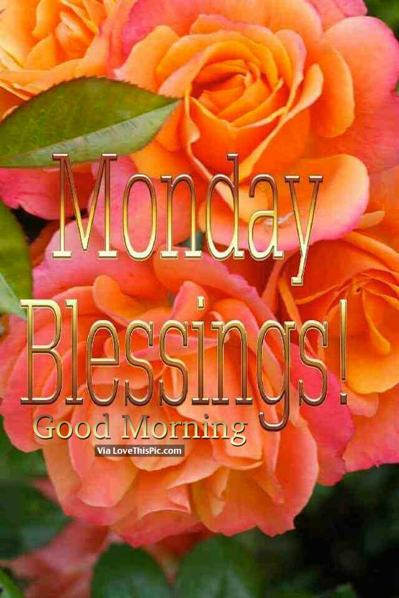 Monday Blessings, Good Morning Pictures, Photos, and Images for ...