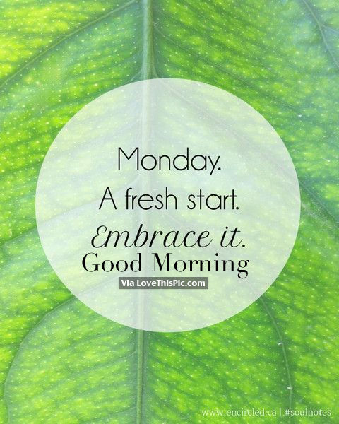 Monday. A Fresh Start. Embrace It. Good Morning Pictures, Photos, and ...