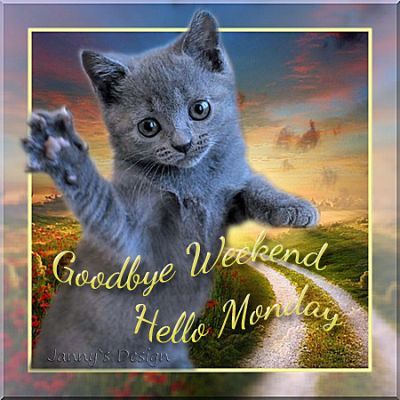 Goodbye Monday Hello Weekend Pictures, Photos, and Images for Facebook ...