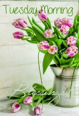 Tuesday Morning Blessings Pictures, Photos, and Images for Facebook ...