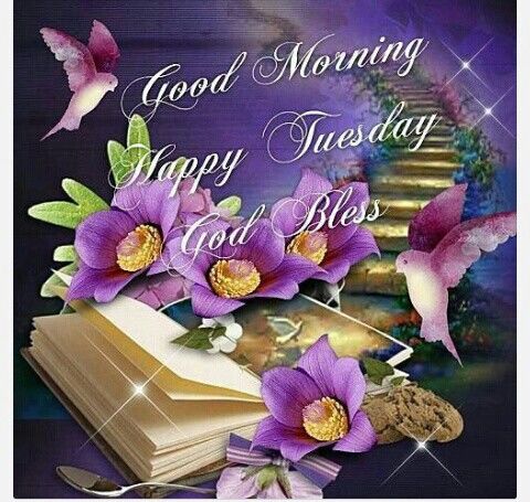 Good Morning, Happy Tuesday God Bless Pictures, Photos, and Images for ...