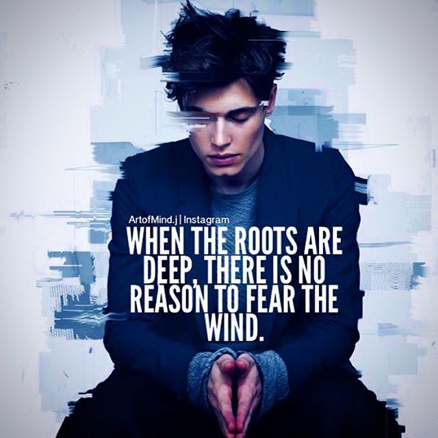 When The Roots Are Deep, There Is No Reason To Fear The Wind Pictures ...