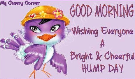 Good Morning Wishing You A Bright And Cheery Wednesday Pictures, Photos ...