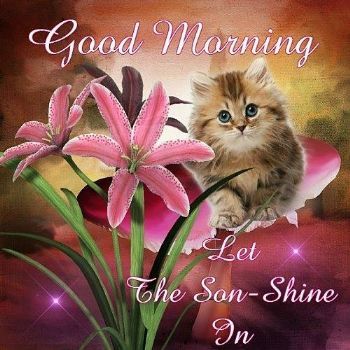 Good Morning Pictures, Photos, and Images for Facebook, Tumblr ...