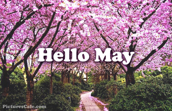 Hello May Pictures, Photos, and Images for Facebook, Tumblr, Pinterest ...