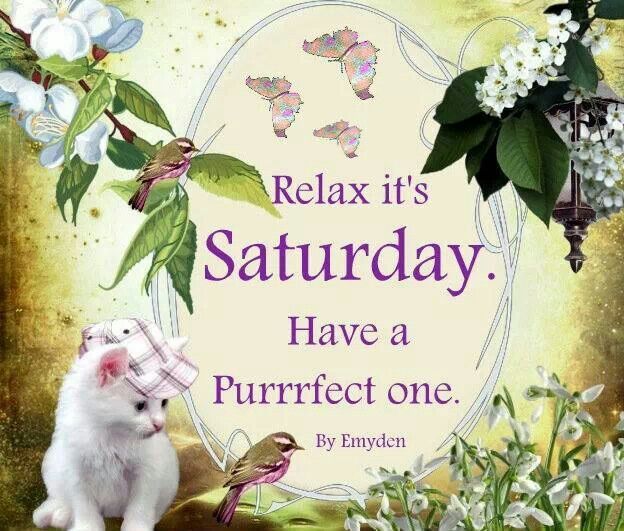Relax It's Saturday. Have A Purrrfect One. Pictures, Photos, and Images ...