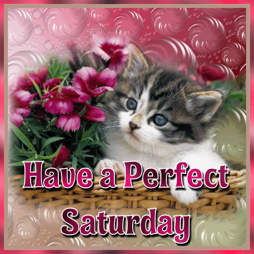 Have A Perfect Saturday Pictures, Photos, and Images for Facebook ...