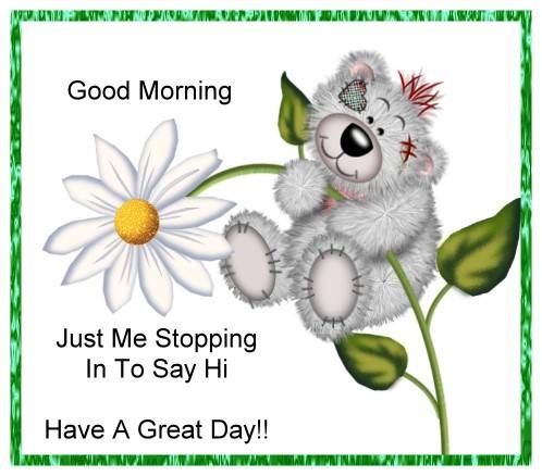 Good Morning Just Me Stopping In To Say Hi. Have A Great Day! Pictures ...