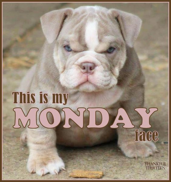 This Is My Monday Face Pictures, Photos, and Images for Facebook ...