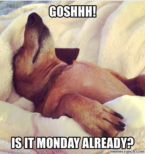 Goshhh! Is It Monday Already? Pictures, Photos, and Images for Facebook ...