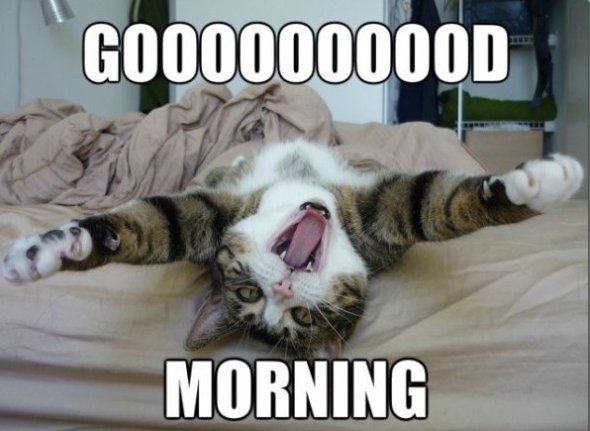 Gooooood Morning Pictures, Photos, and Images for Facebook, Tumblr ...