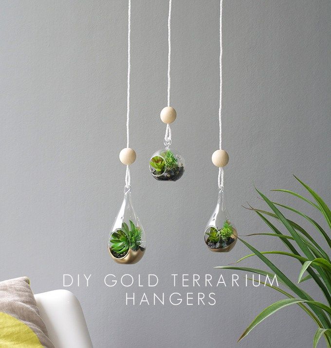 Gold Terrarium Pictures, Photos, and Images for Facebook, Tumblr ...