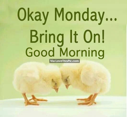 Okay Monday...Bring It On! Good Morning Pictures, Photos, and Images ...