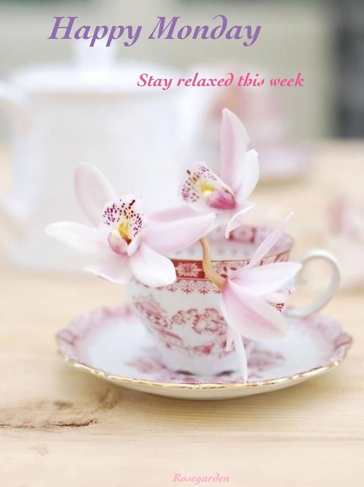 Happy Monday Pictures, Photos, and Images for Facebook, Tumblr ...